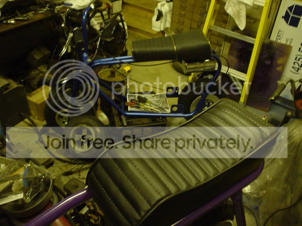 Zebra 500 | OldMiniBikes.com