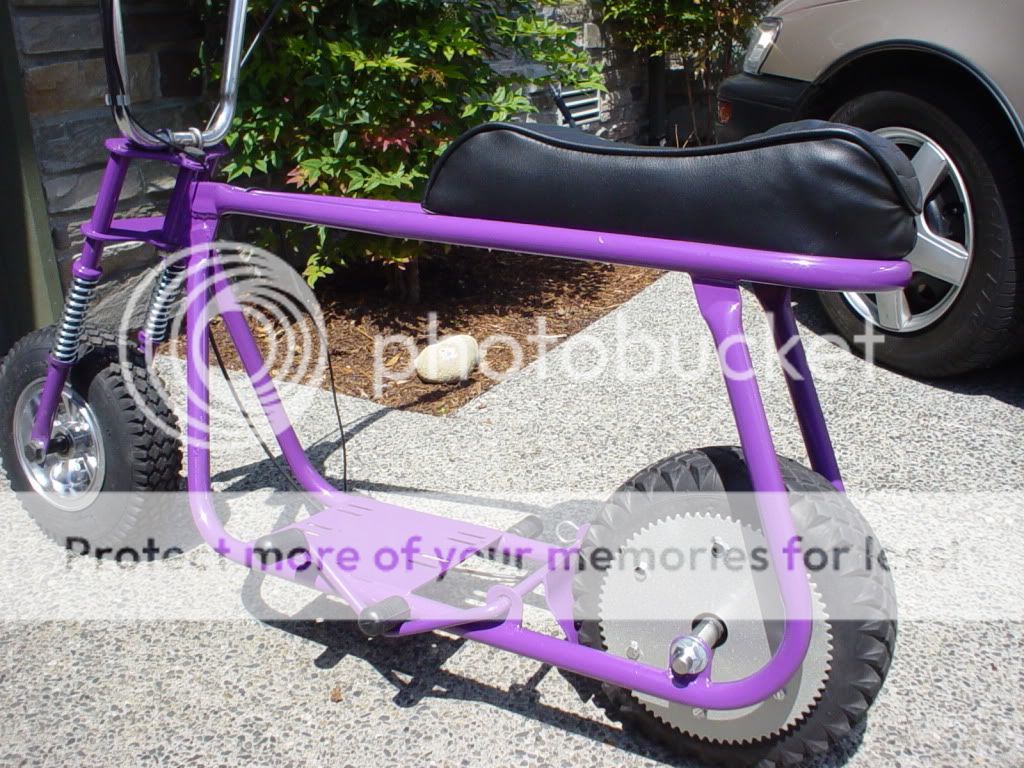 Zebra 500 | OldMiniBikes.com