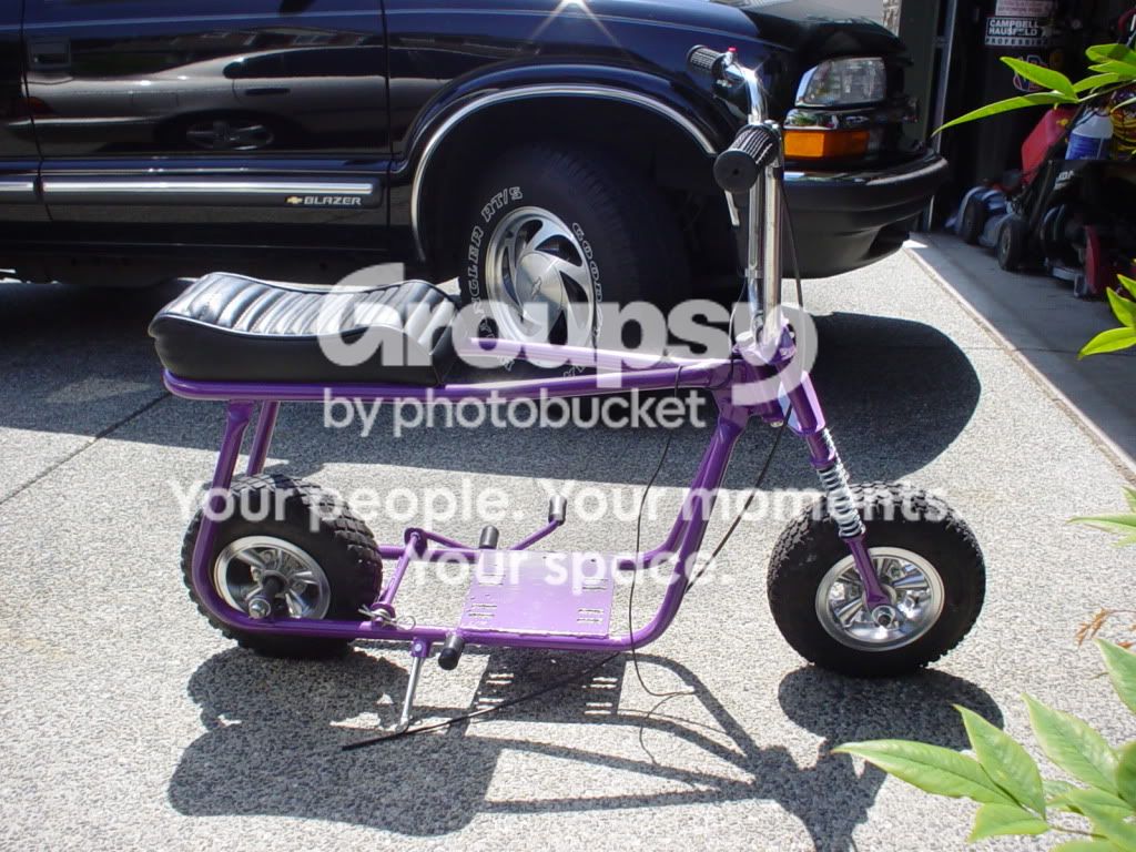 taco? | OldMiniBikes.com