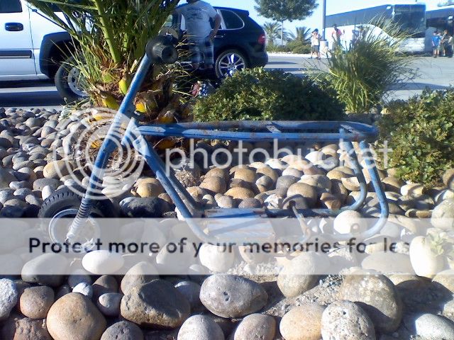 Early Taco 22 for a first minibike? | OldMiniBikes.com